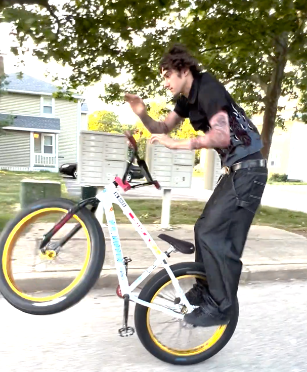 Creativity in Motion! – SE BIKES Powered By BikeCo