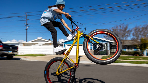 SE Bikes Fat Quad 26" – SE BIKES Powered By BikeCo