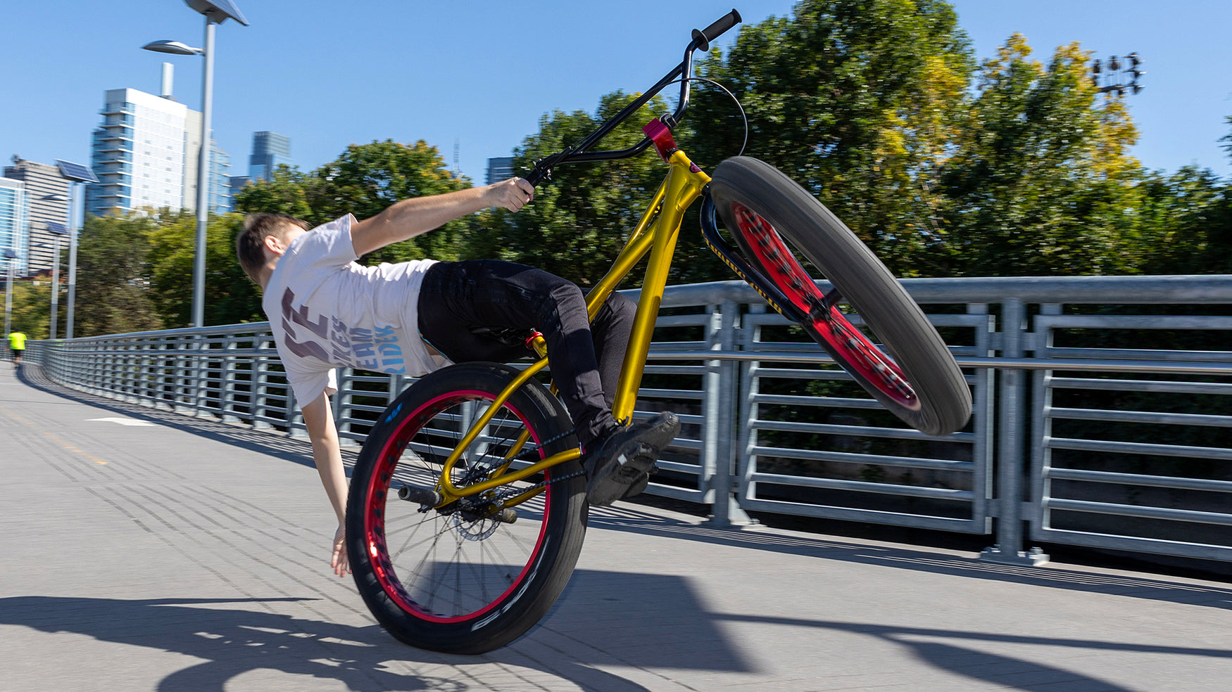 SE Bikes Fat Quad 26" – SE BIKES Powered By BikeCo